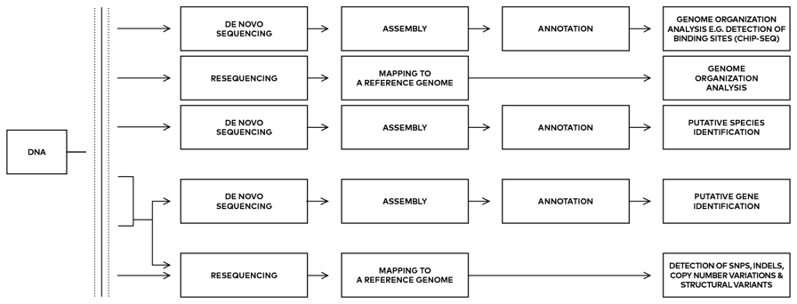 Explaining DNA vs. RNA sequencing