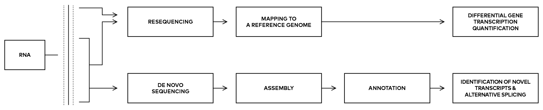 Explaining DNA vs. RNA sequencing