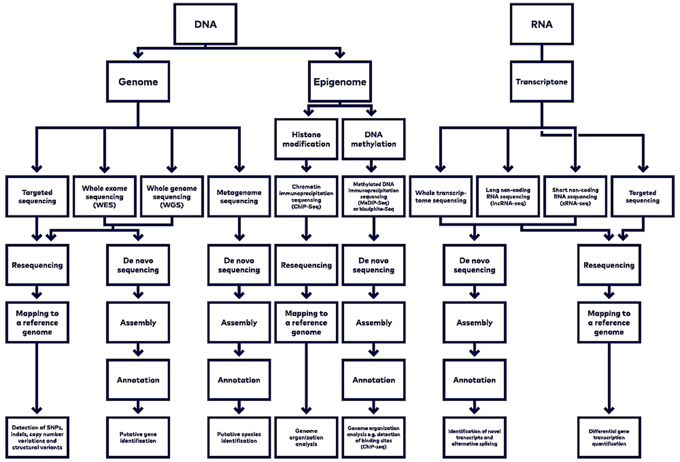 Explaining DNA vs. RNA sequencing
