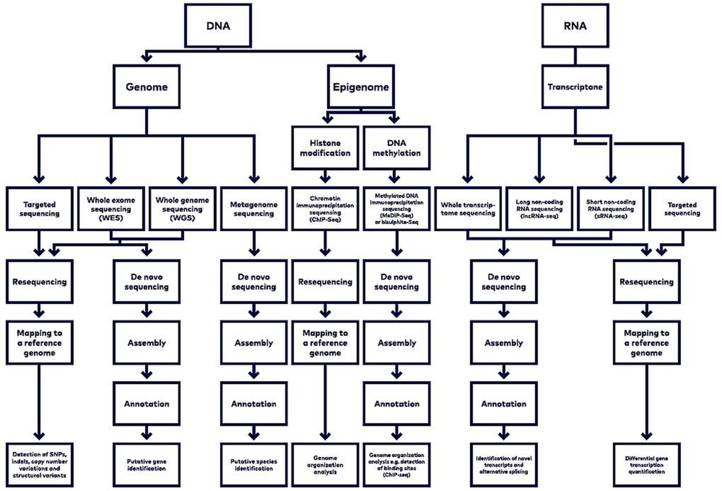 Explaining DNA vs. RNA sequencing