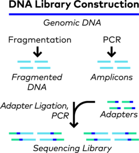 Tips to Improve NGS Library Preparation