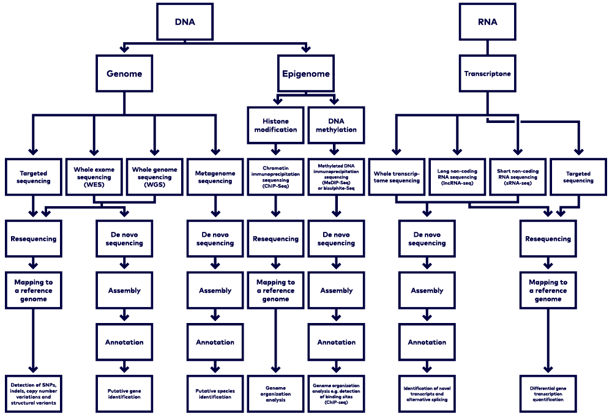 Explaining DNA vs. RNA sequencing