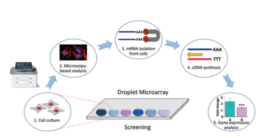 Unveiling the Secrets of Live Cells: I.DOT Liquid Handler ...