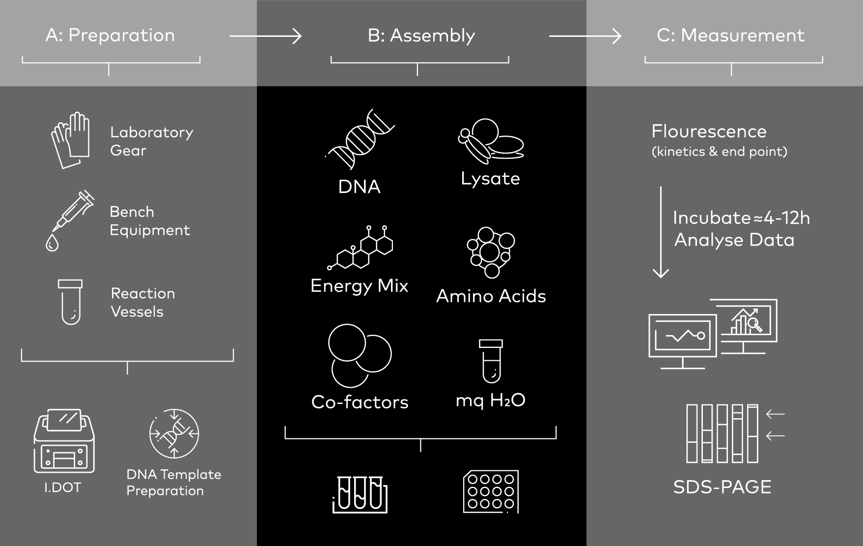 Breaking Barriers in Protein Production: I.DOT Can Revolutionize Cell ...